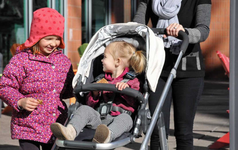 The 5 Best Full-Size Strollers | Tested by GearLab