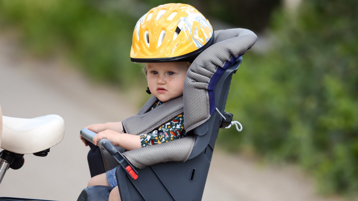 The 3 Best Child Bike Seats | Tested & Rated