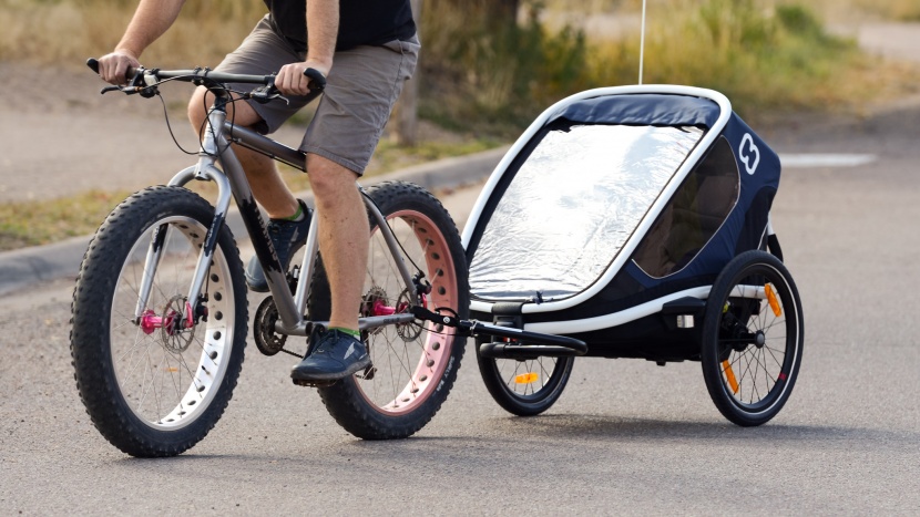 The 5 Best Bike Trailers for Kids Tested Rated