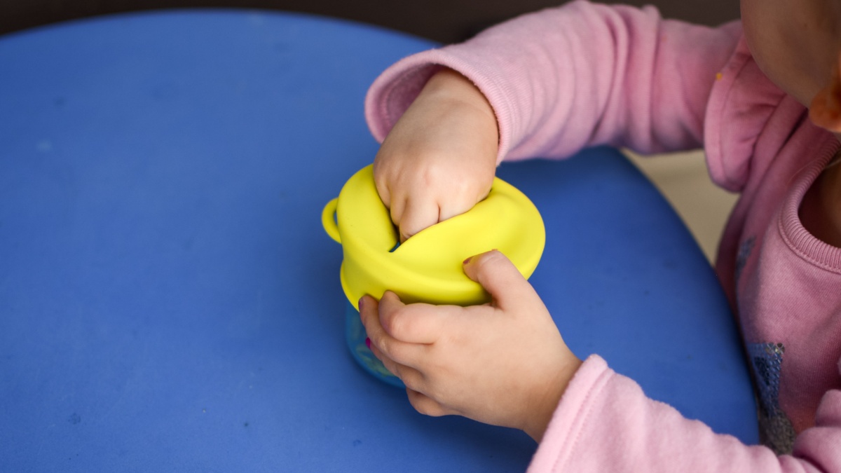 The Best 4 Snack Catchers of 2024 | Tested & Rated