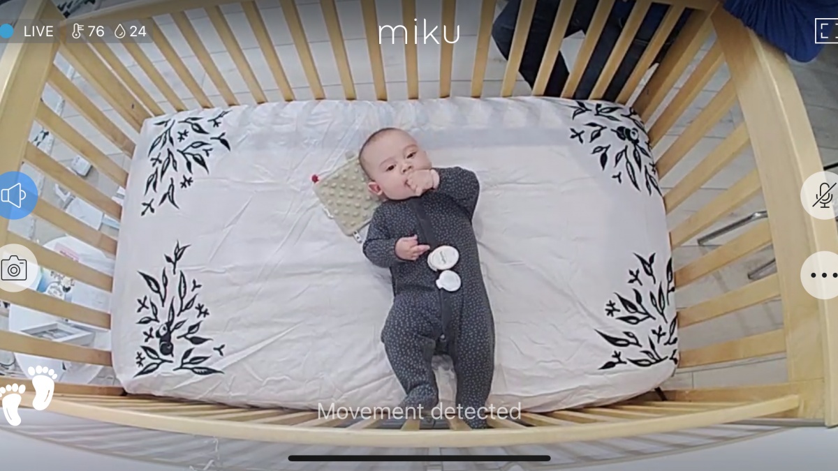 The 3 Best Movement Monitors | Tested & Rated